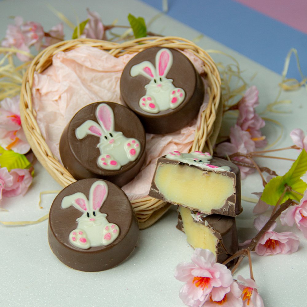 Forma Acetato Dupla Face Semi Profissional – Pão de Mel PQ Coelho ...